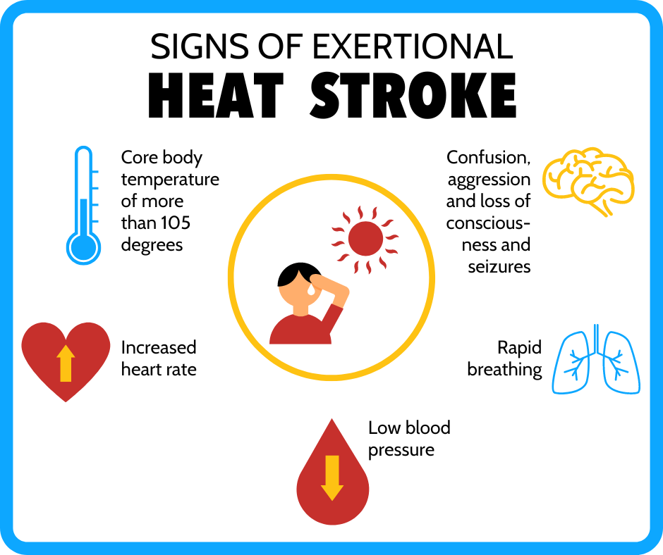 What Causes Heat Stroke Symptoms at Ida Whitford blog